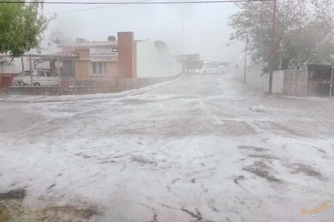 El Chaqueño Palavecino recibió plasma y está estable | El Esquiu
