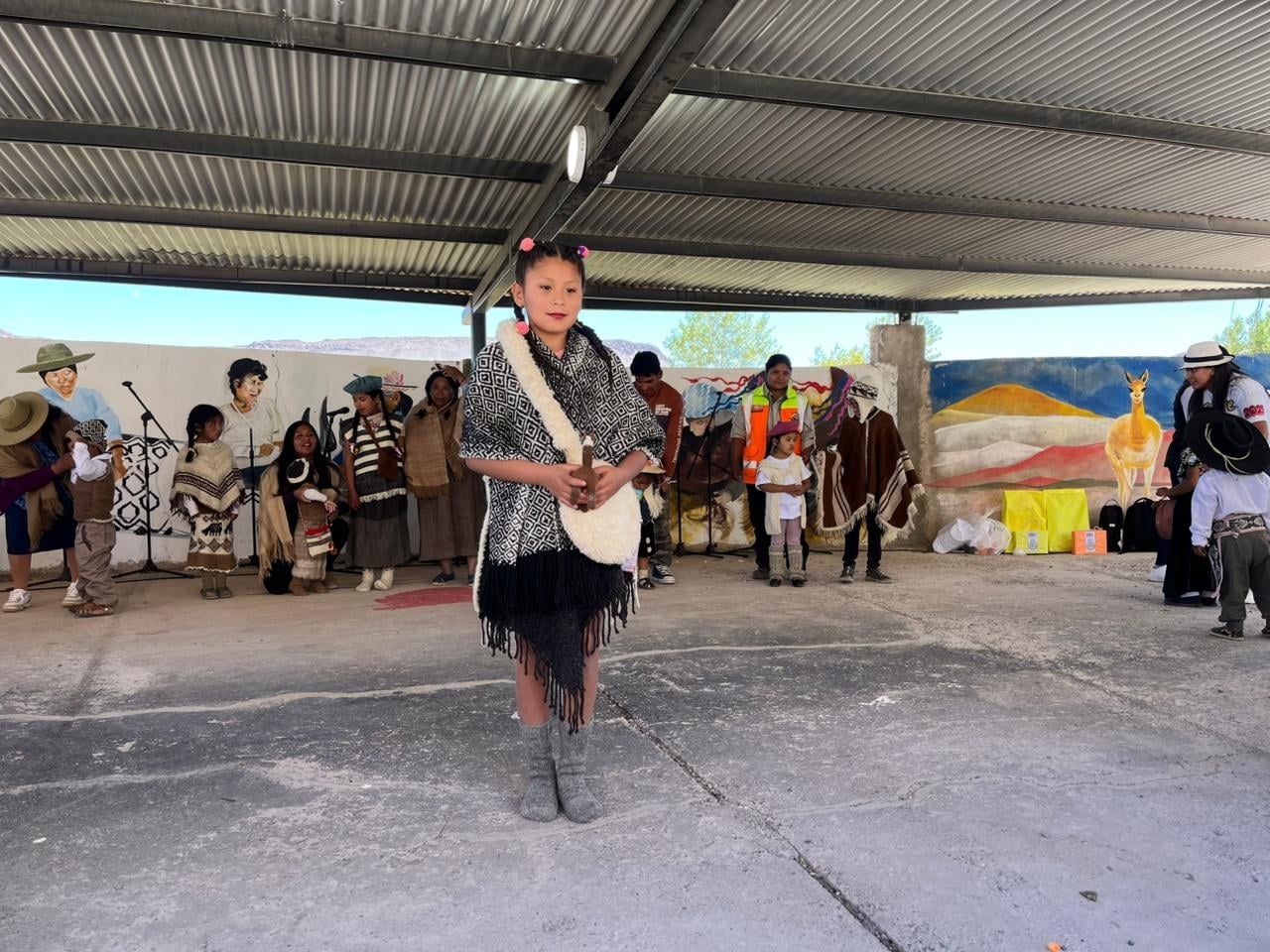 Feria de la Puna 2026: conocemos “Caminito de Llamas” desde Fray ...